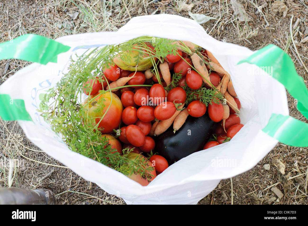 Vegetables in a bag Stock Photo - Alamy