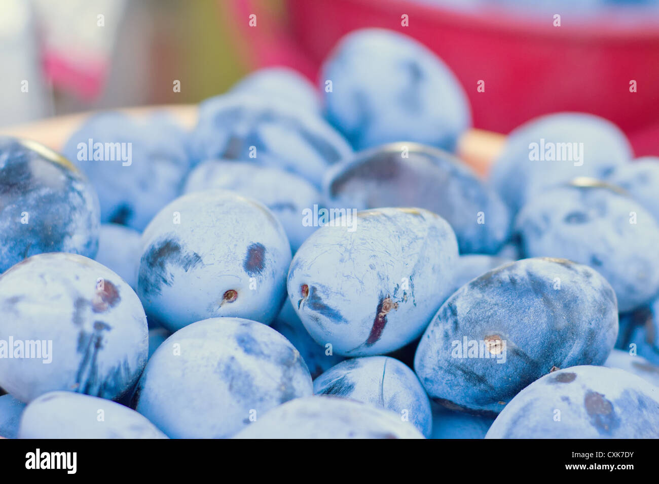 Italian prune plums hi-res stock photography and images - Alamy