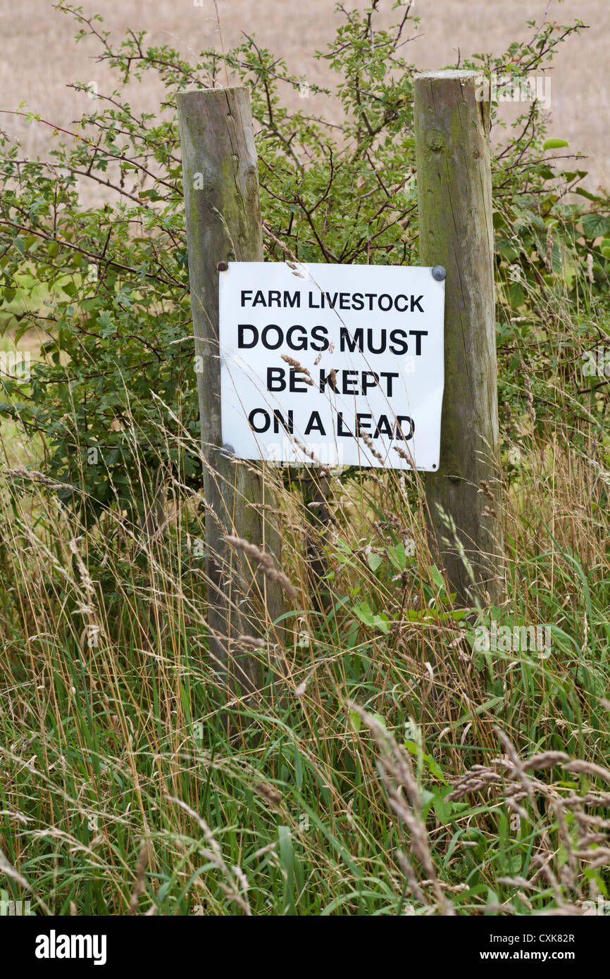 Notice farm livestock dogs must be kept on a lead hi-res stock ...