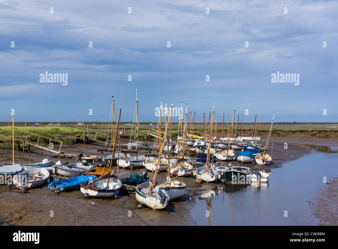 Stiffkey cockles hi-res stock photography and images - Alamy