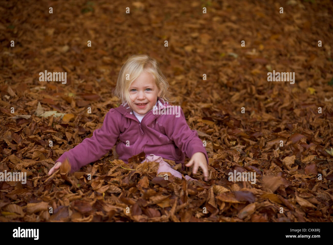 Child with leaves Stock Photo - Alamy
