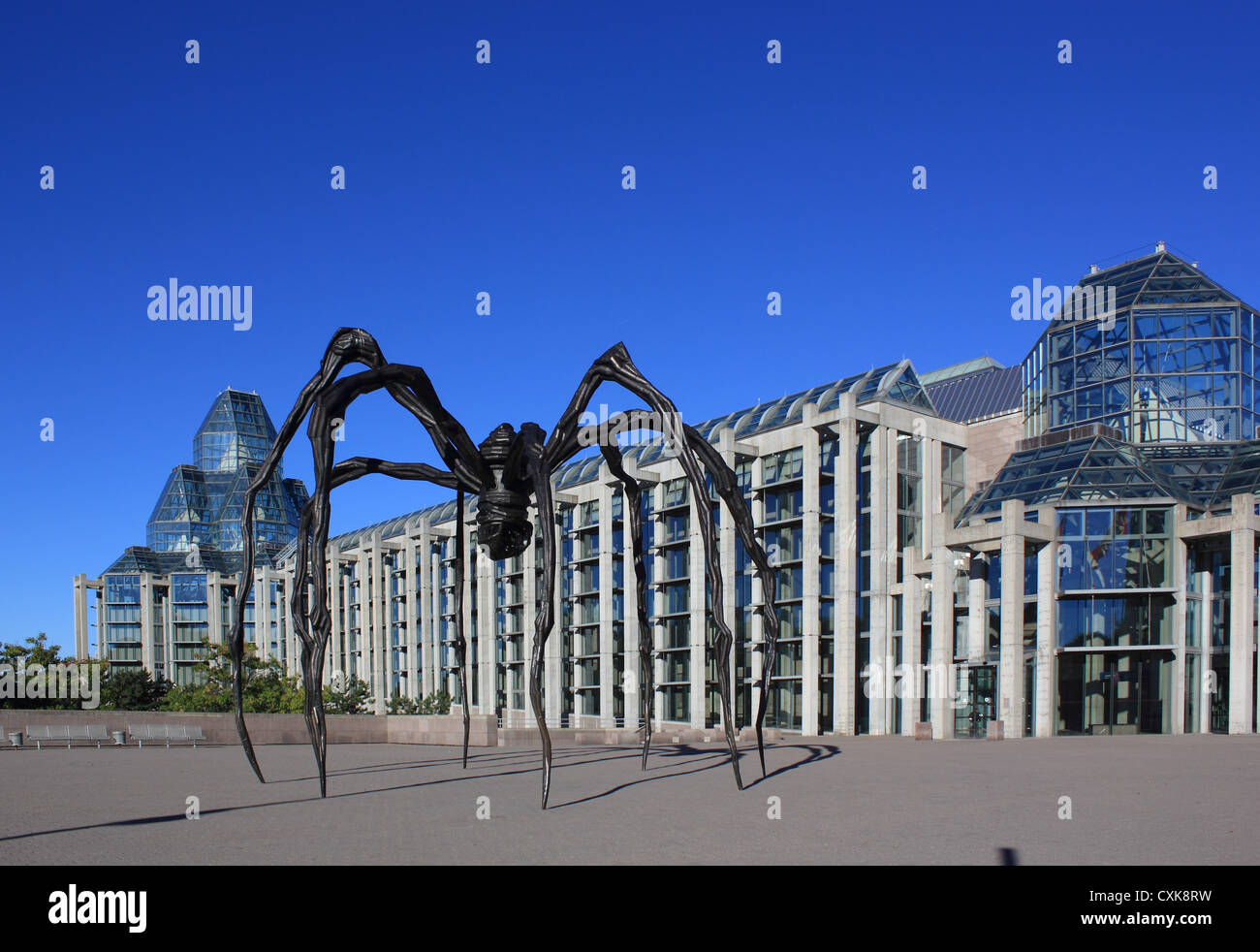 "Maman" a giant spider sculpture created by Louise Bourgeois dwarfs the ...
