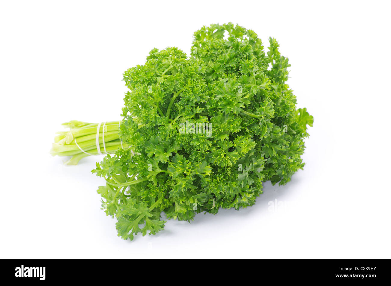 Bunch of fresh green parsley isolated on white background Stock Photo ...