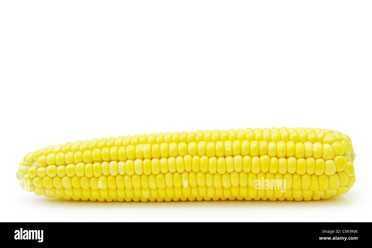 Sweet maize isolated on white background Stock Photo - Alamy