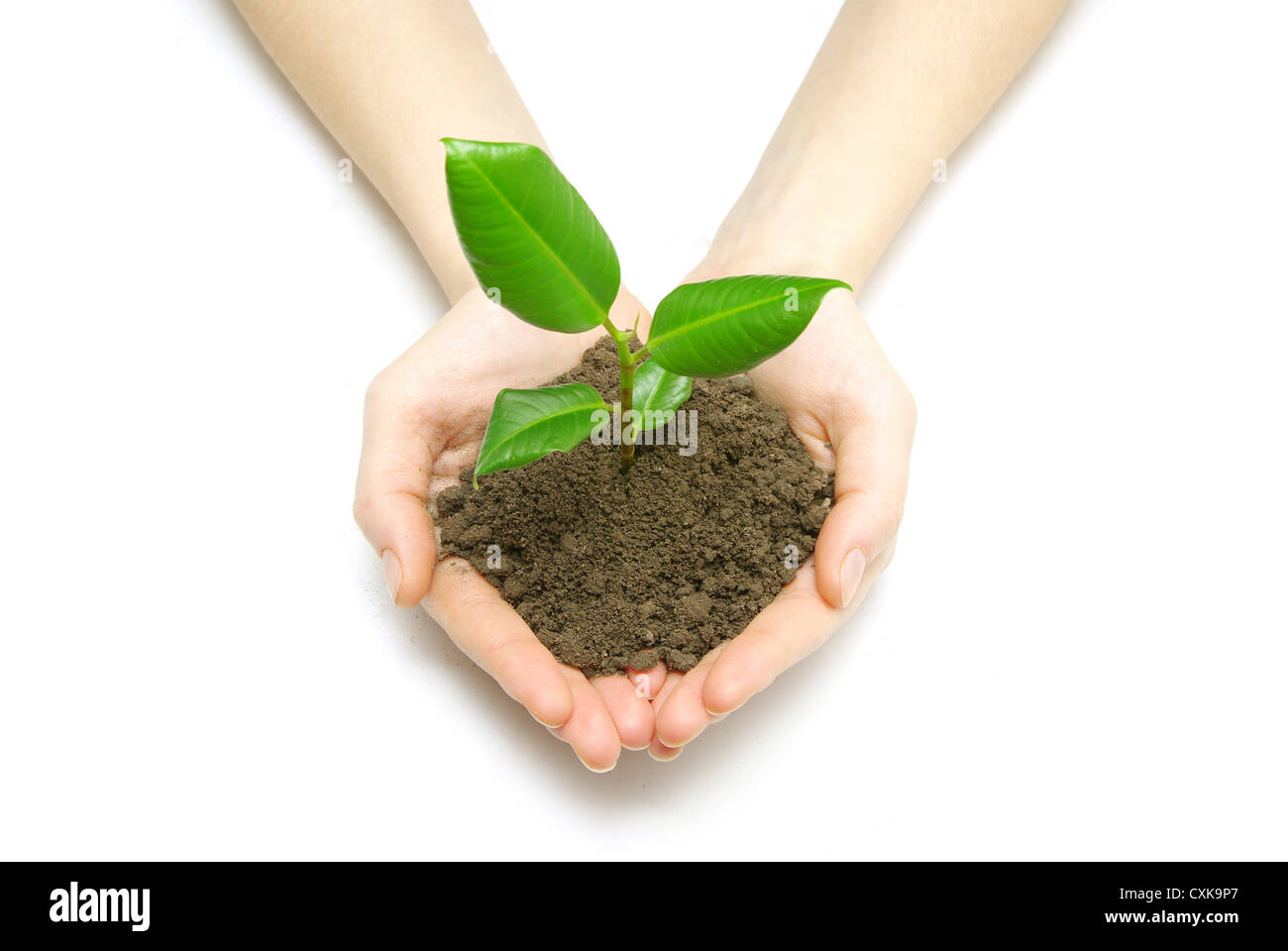 Between between Cut Out Stock Images & Pictures - Alamy