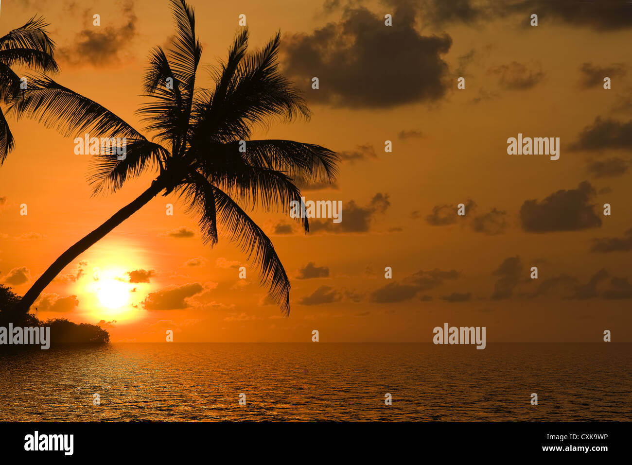 Sunset at the dream beach Stock Photo - Alamy