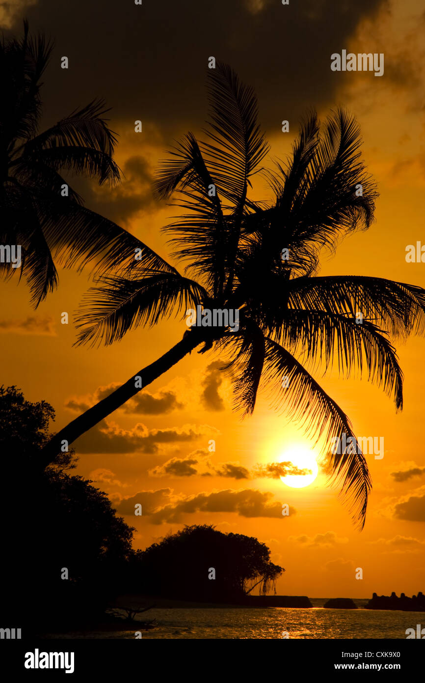 Sunset at the dream beach Stock Photo - Alamy