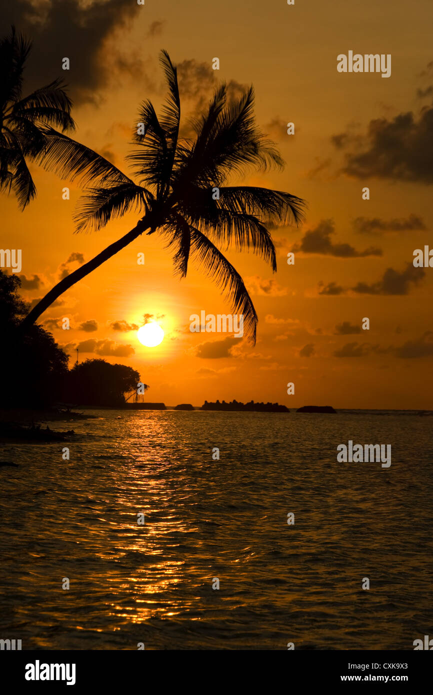 Sunset at the dream beach Stock Photo - Alamy