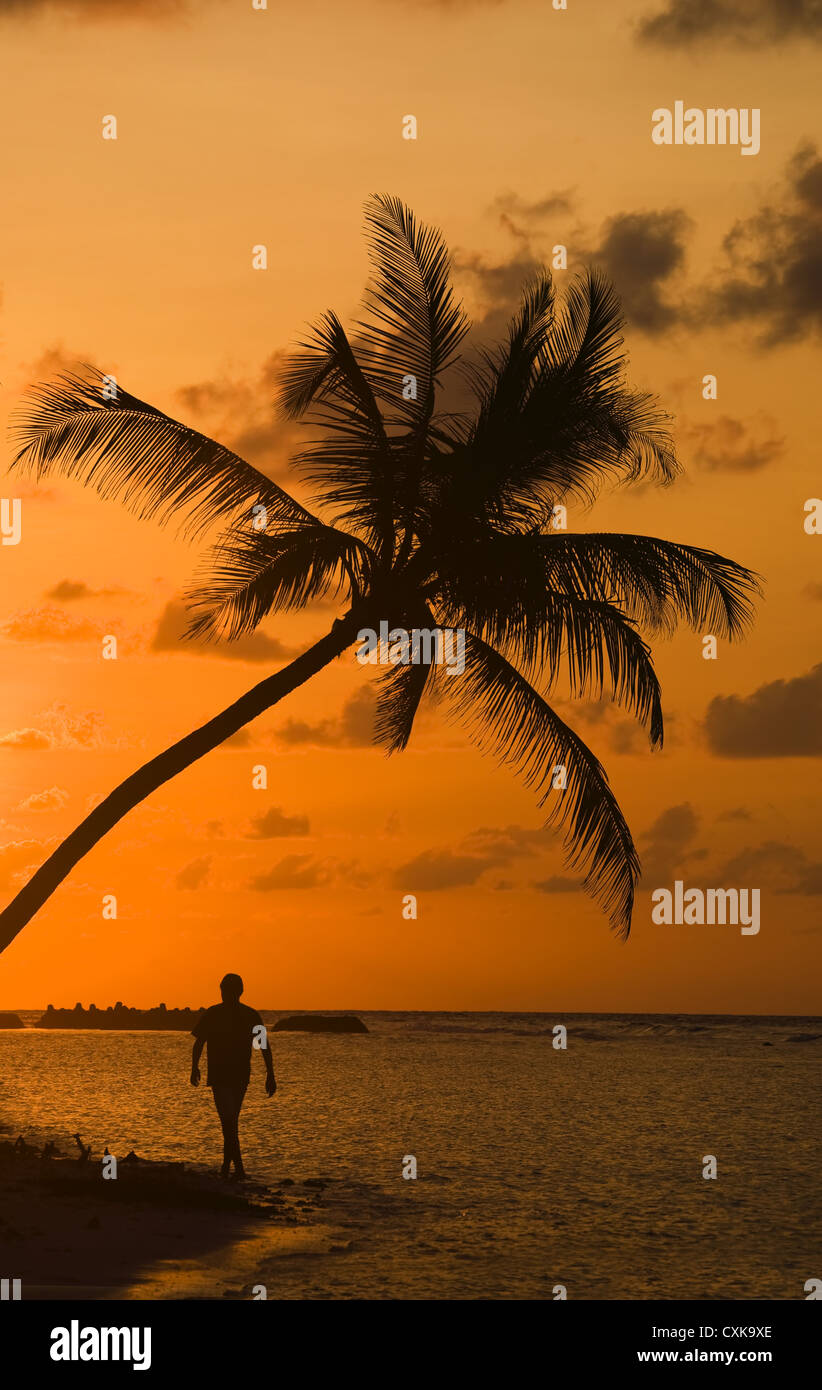 Sunset at the dream beach Stock Photo - Alamy