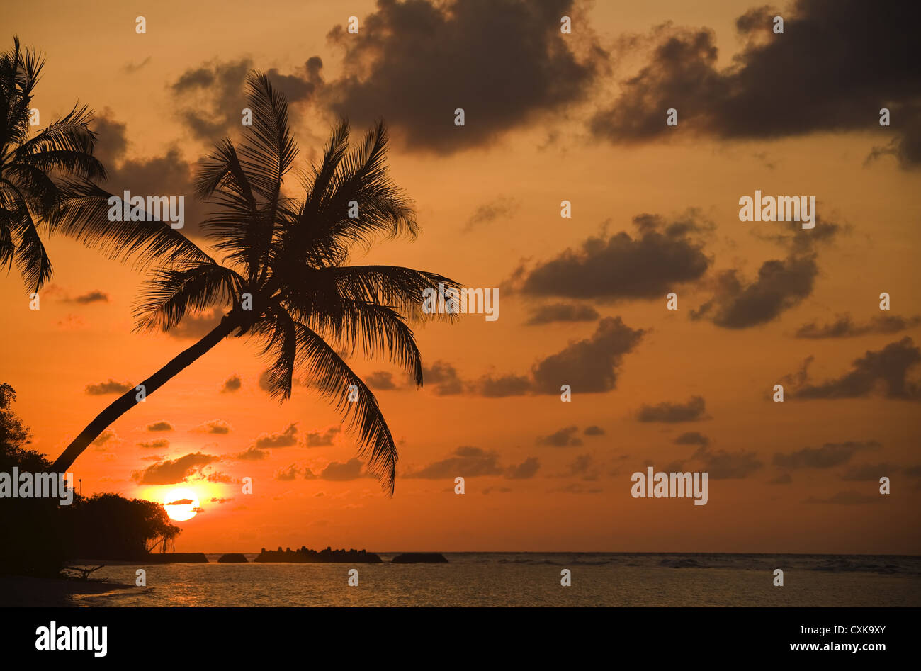 Sunset at the dream beach Stock Photo - Alamy