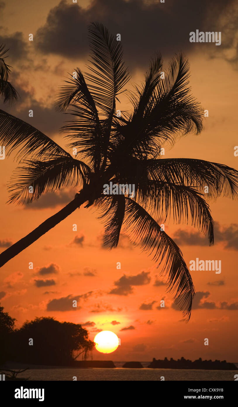 Sunset at the dream beach Stock Photo - Alamy