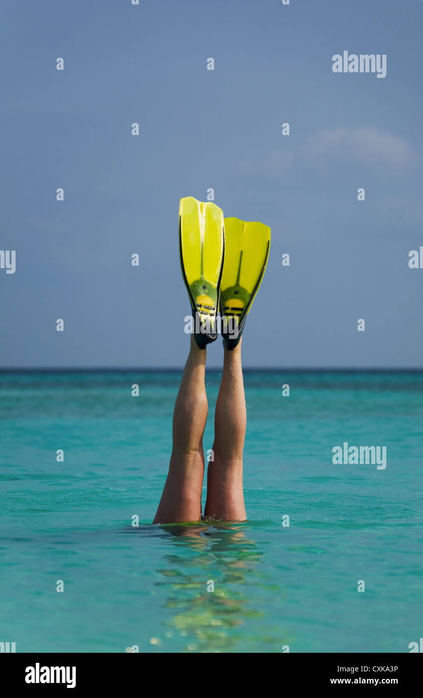 Diving on holiday Stock Photo - Alamy