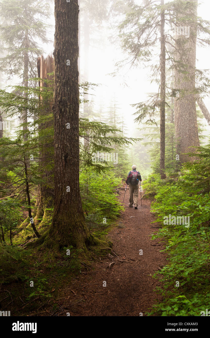Hiking the beautiful Heliotrope Ridge Trail in the Mount Baker National ...