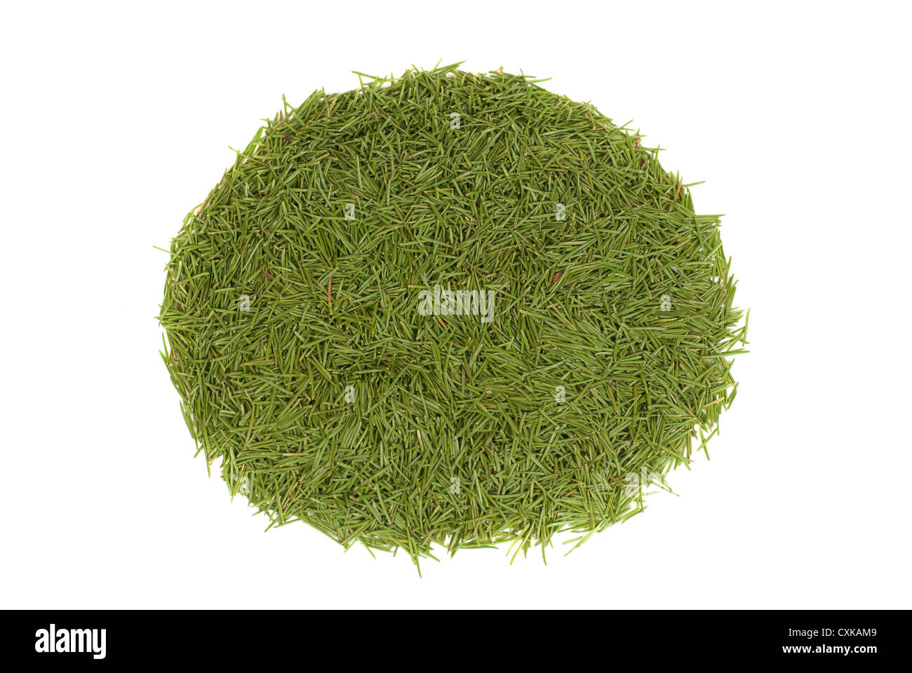 Circle stack of green needles Stock Photo - Alamy