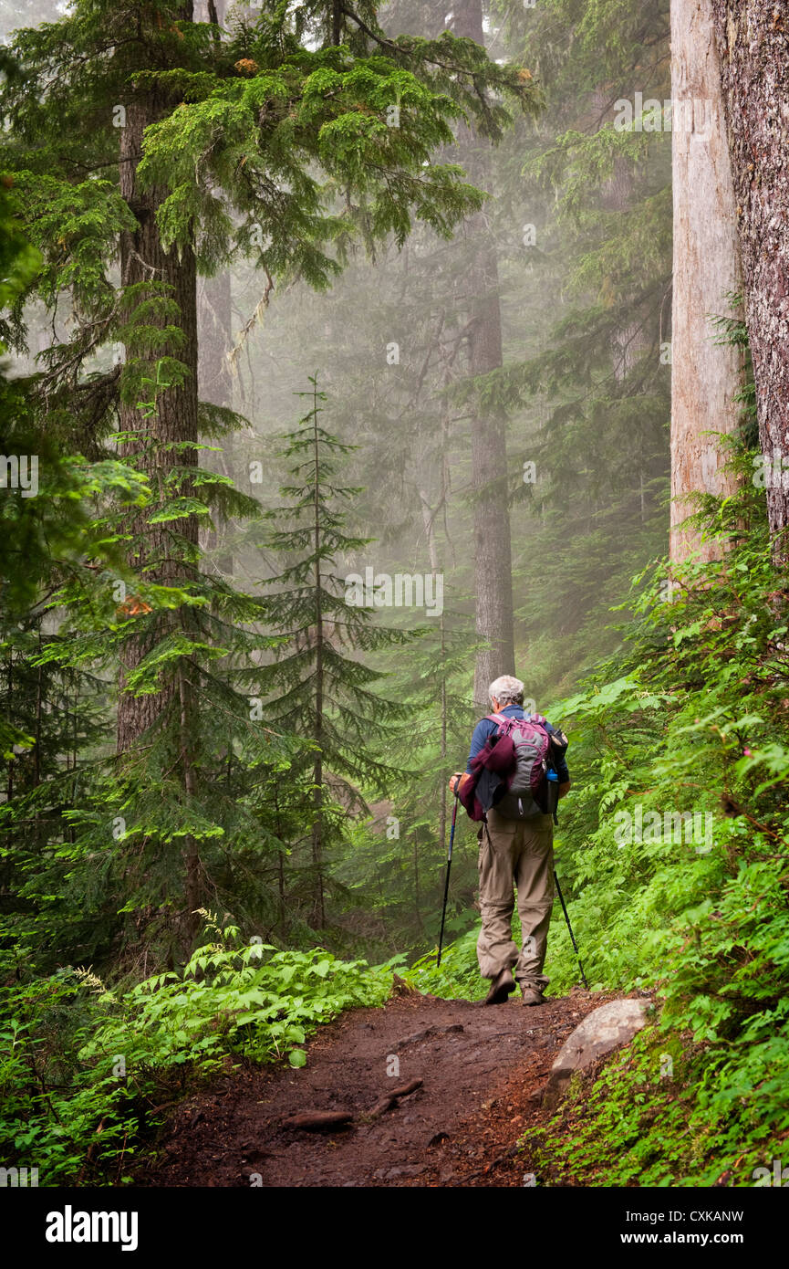 Hiking the beautiful Heliotrope Ridge Trail in the Mount Baker National ...