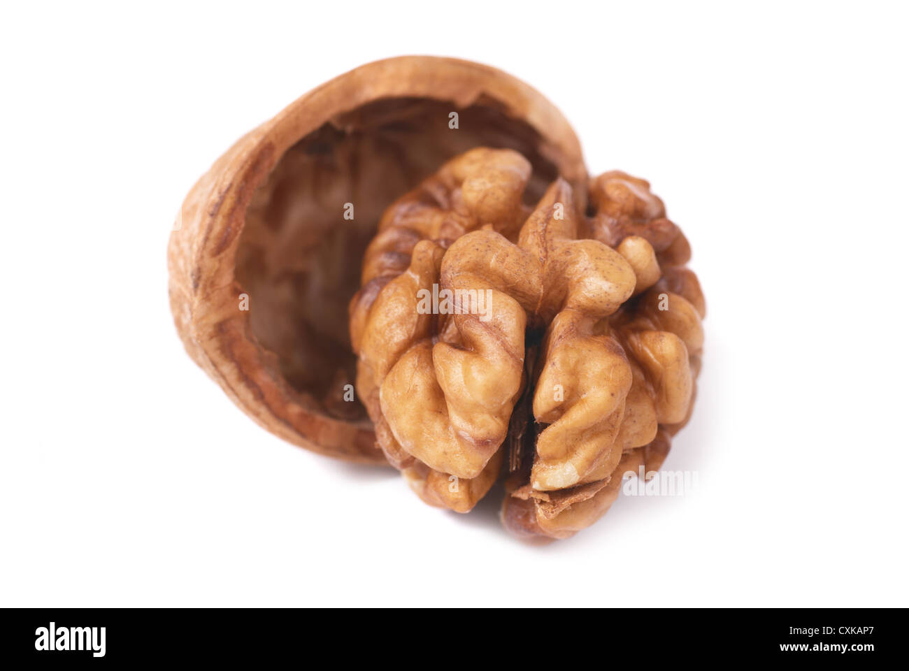 Walnut with open shell hi-res stock photography and images - Alamy