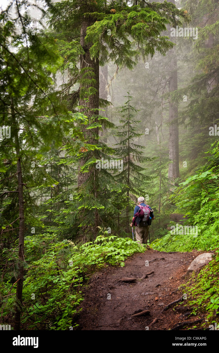 Hiking the beautiful Heliotrope Ridge Trail in the Mount Baker National ...