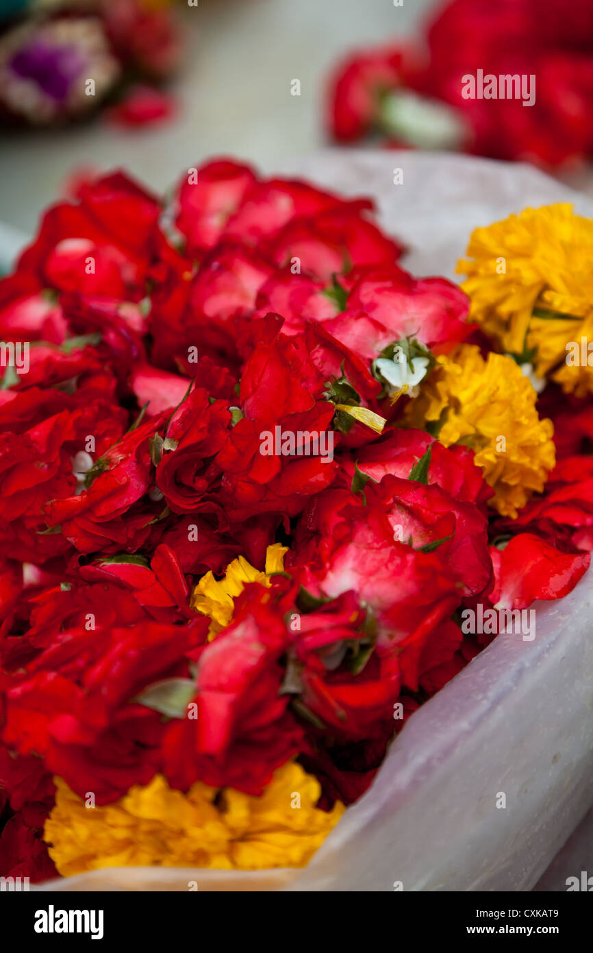 Thailand flowers decoration in temple hi-res stock photography and ...