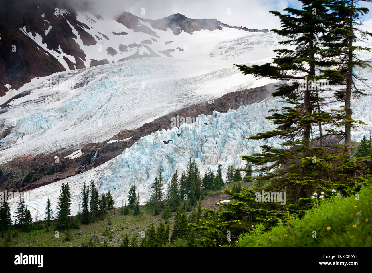 The Coleman glacier seen from the Heliotrope Ridge Trail in the Mt ...