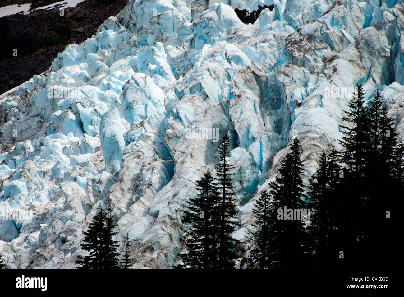 The Coleman glacier seen from the Heliotrope Ridge Trail in the Mt ...