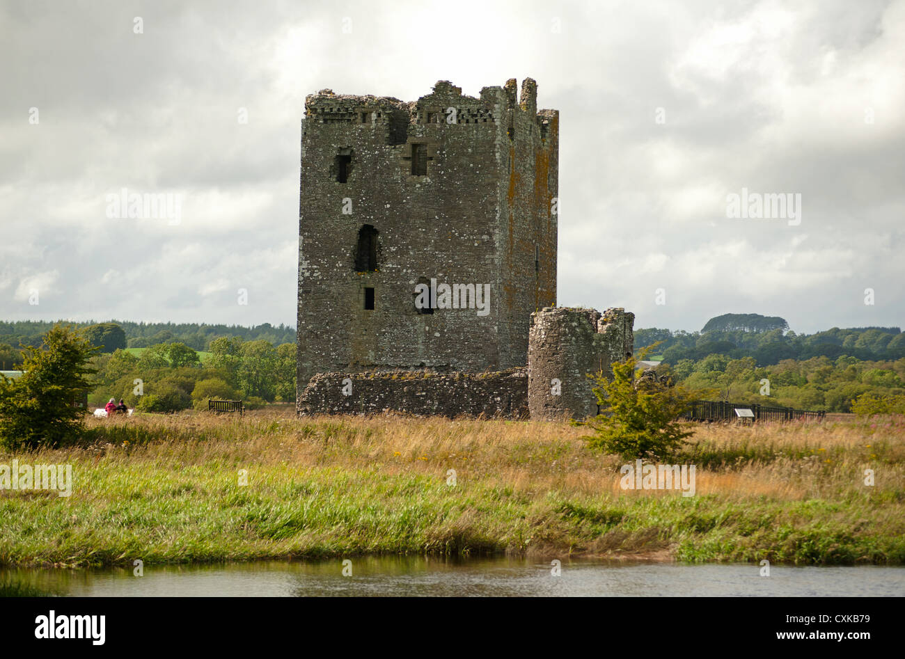 Dee Castle's Instagram, Twitter & Facebook on IDCrawl