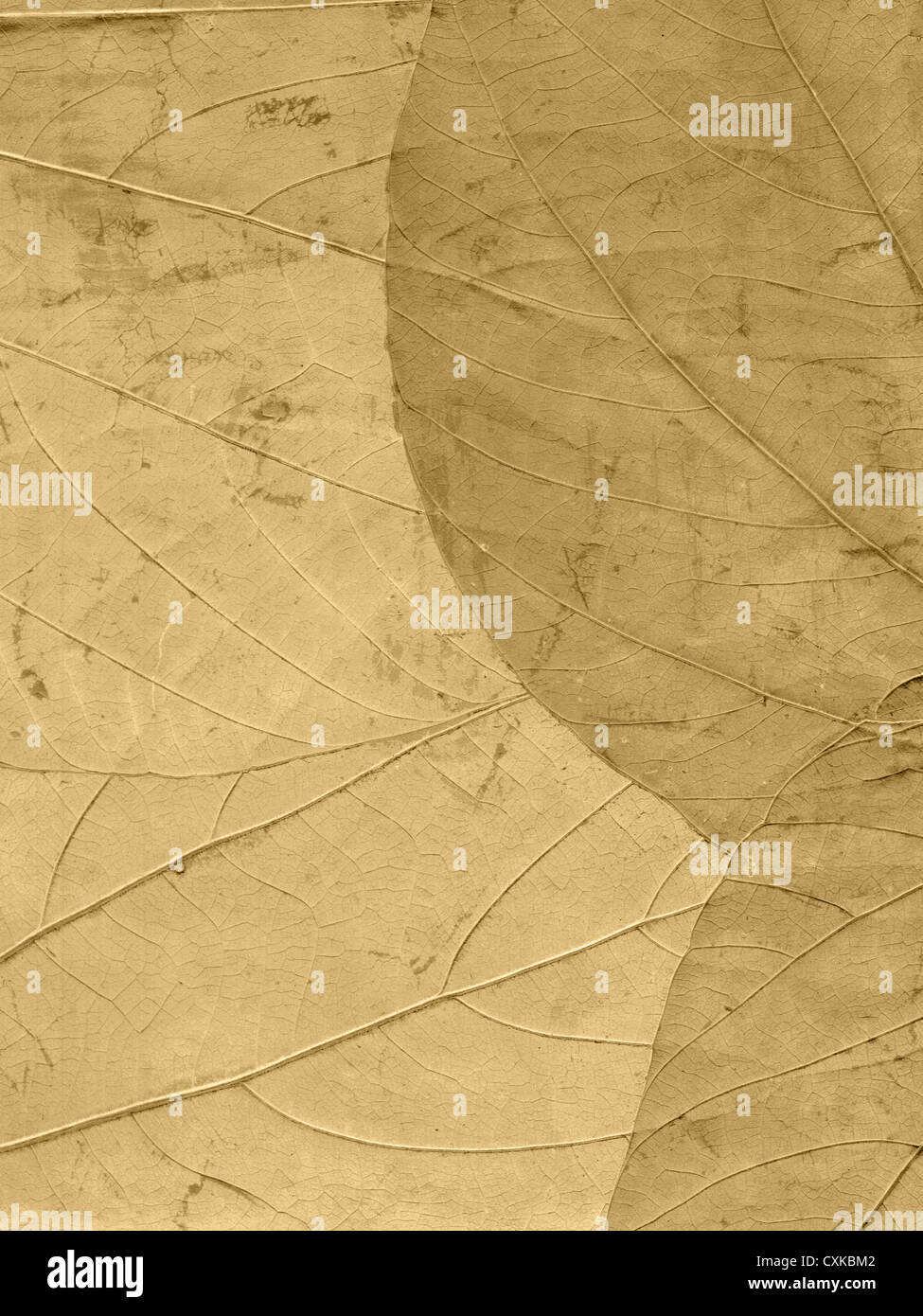 dirty paper surface texture Stock Photo - Alamy
