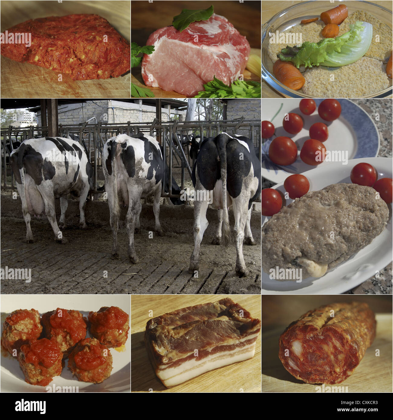 Collage of photography to describe the processing of the meat Stock ...