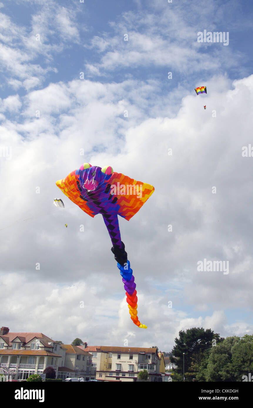 Kite-flying display in Paignton Stock Photo - Alamy