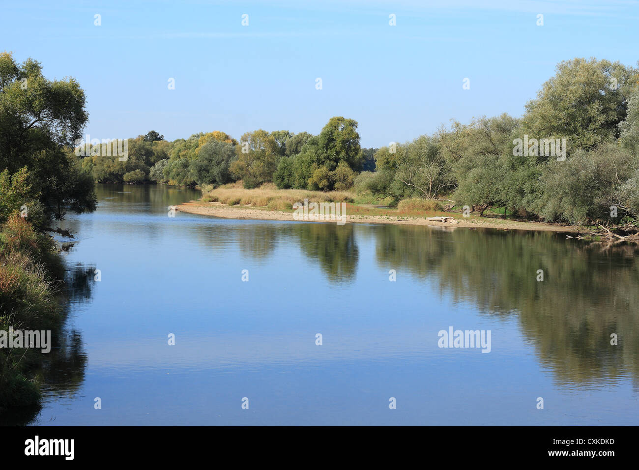 Mulde river in autumn Stock Photo - Alamy