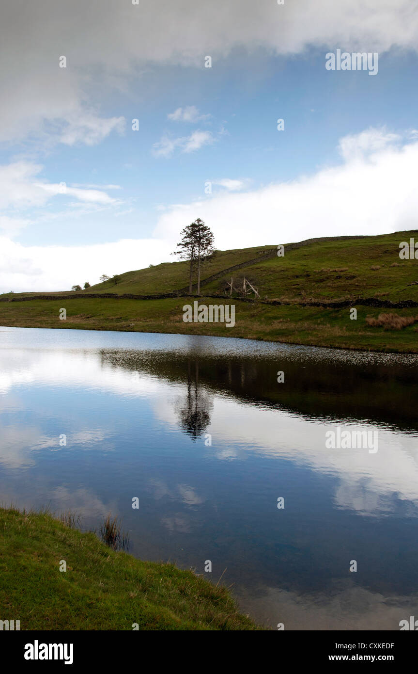 Windermere school hi-res stock photography and images - Alamy