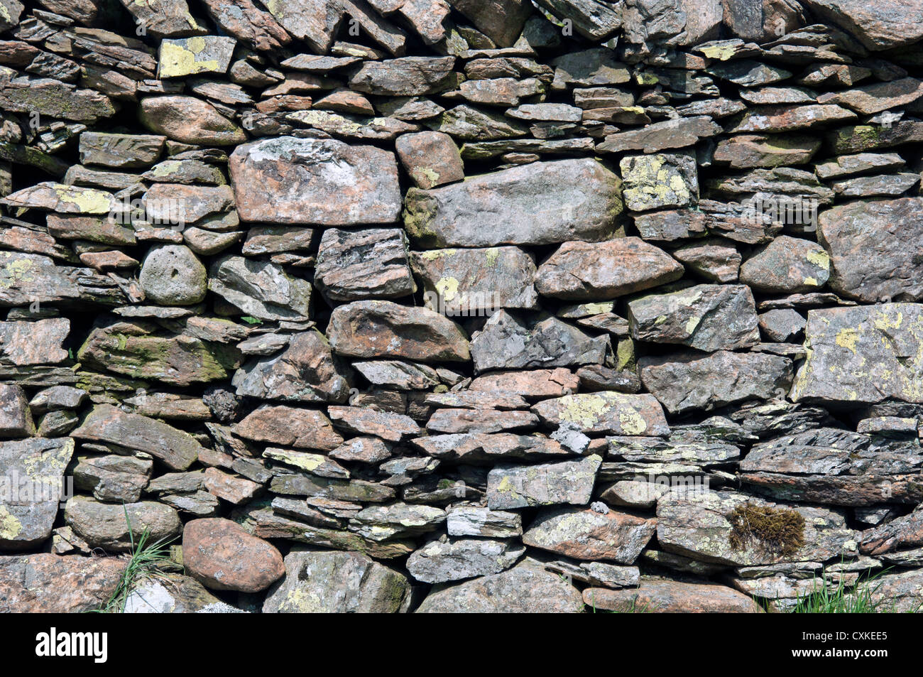 Drywalling hi-res stock photography and images - Alamy