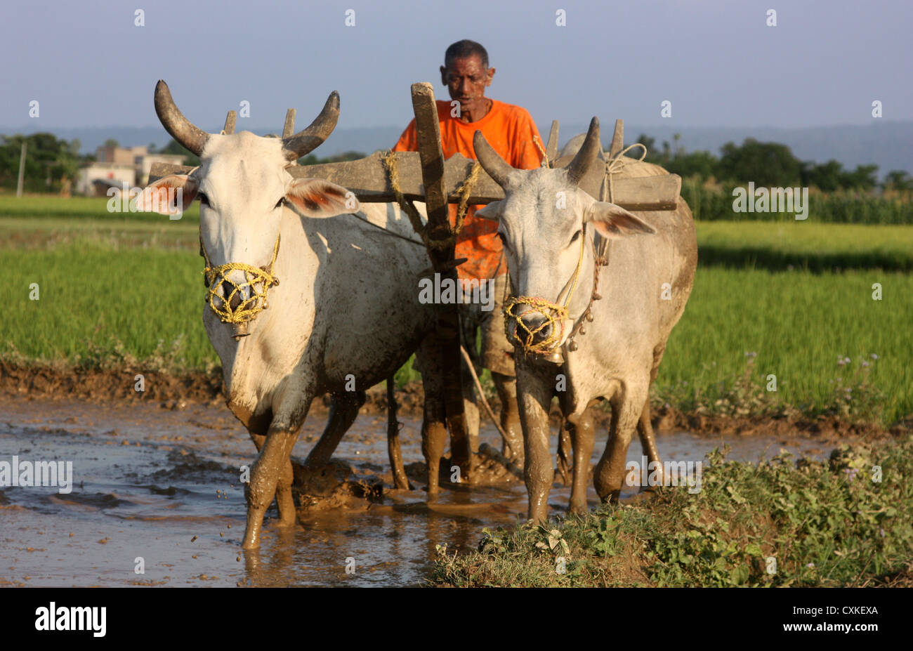 Plow man hi-res stock photography and images - Alamy