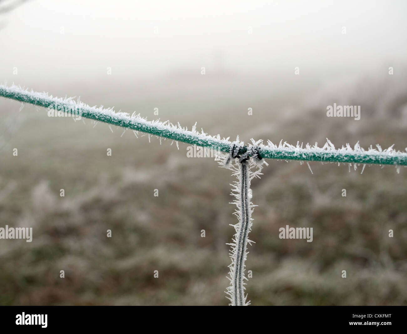 Frost border hi-res stock photography and images - Alamy