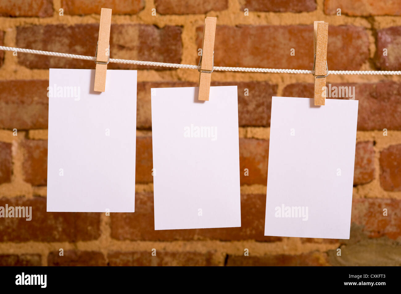 A row of five blank notes on clothesline in front of a brick wall, with ...