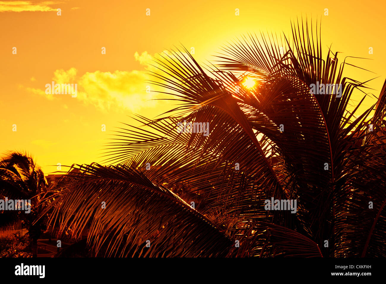 Caribbean Sunset in Mayan Riviera, Mexico Stock Photo - Alamy