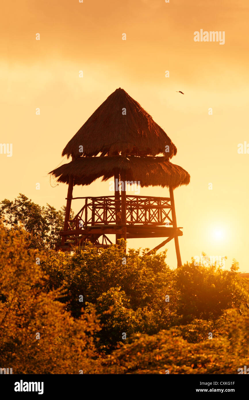 Caribbean Sunset in the Mayan Riviera, Mexico Stock Photo - Alamy