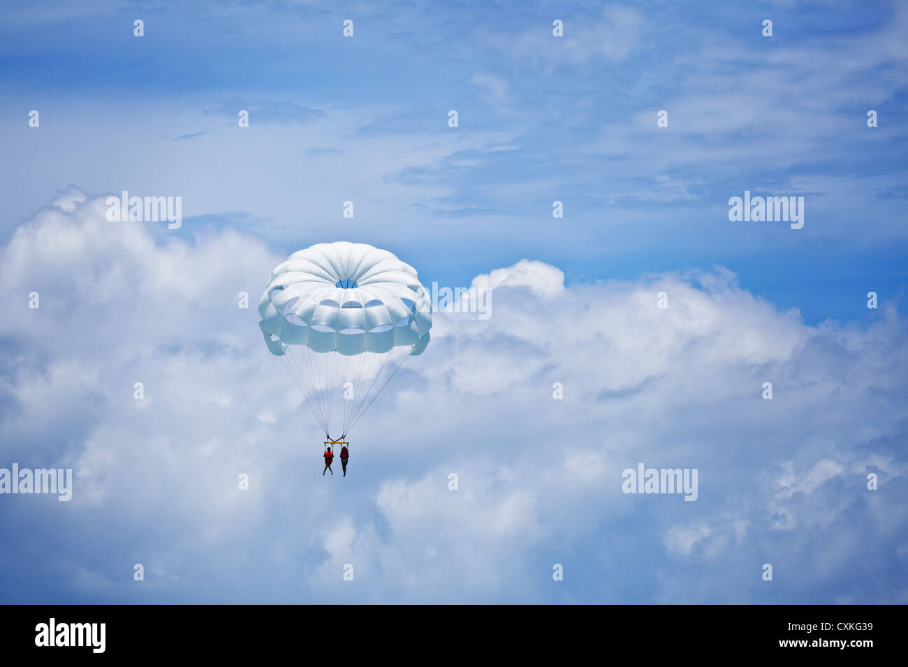 Parachuting in the sky Stock Photo - Alamy