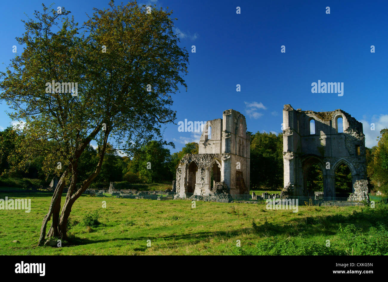 UK, South Yorkshire, Maltby, Roche Abbey Stock Photo - Alamy