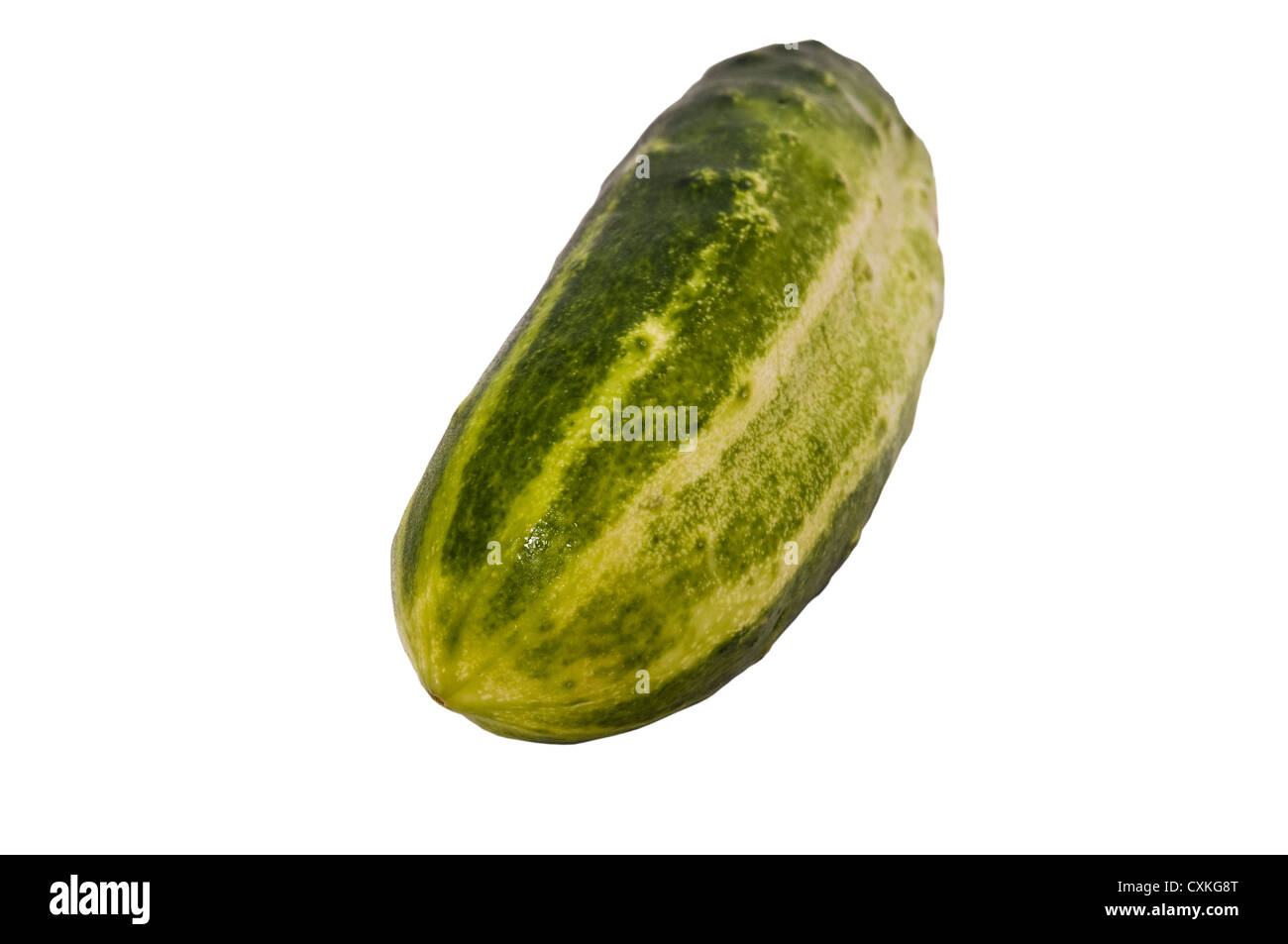 one cucumber isolated on white background Stock Photo - Alamy
