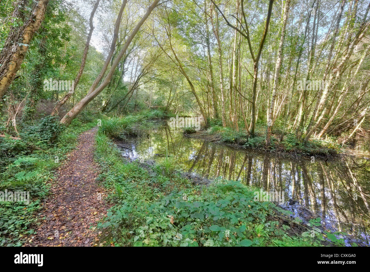 Beautiful path to river hi-res stock photography and images - Alamy