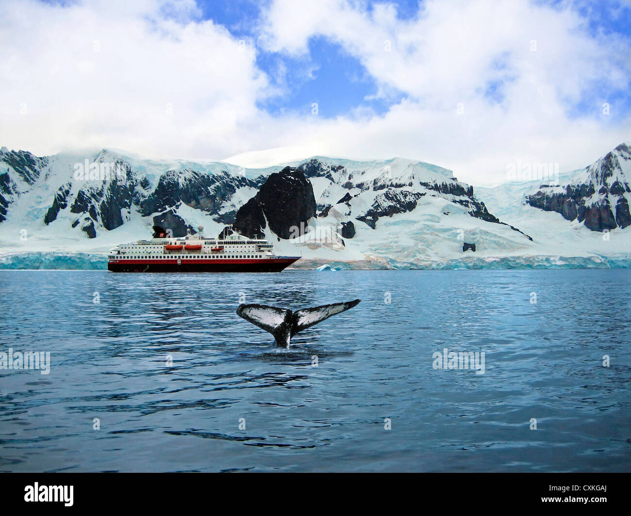 A cruise ship anchored in Neko Harbor, Gerlache Strait, Antarctic ...