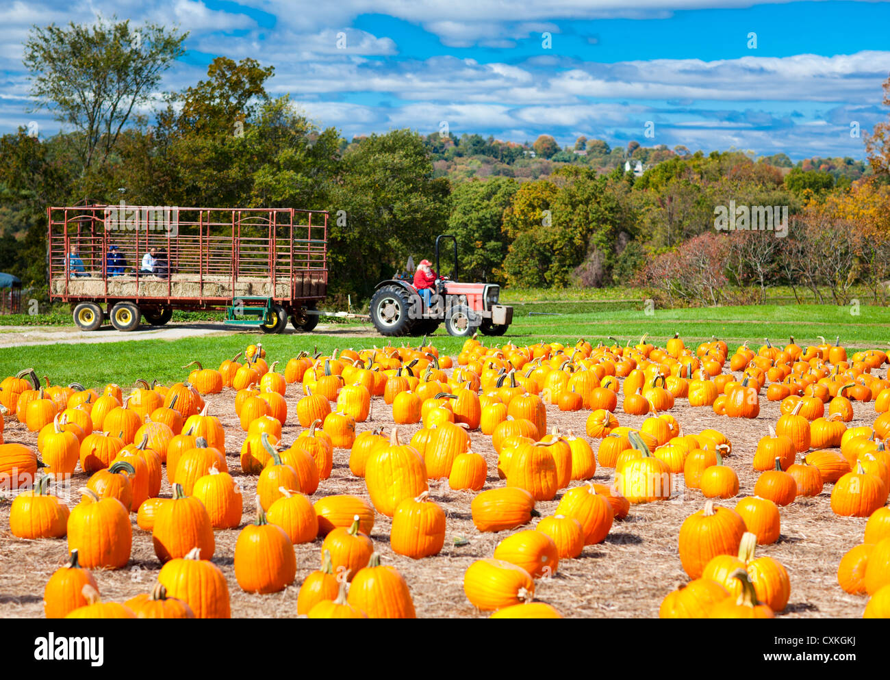 Fall hay ride hi-res stock photography and images - Alamy