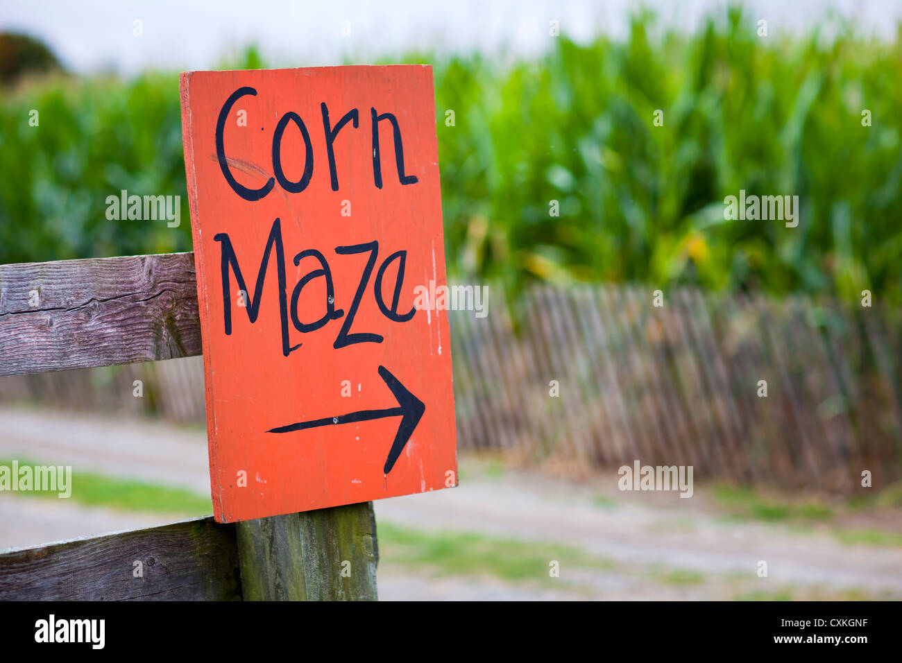 Orange corn maze sign with directional arrow Stock Photo - Alamy