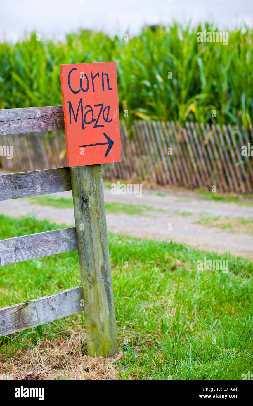 Orange corn maze sign with directional arrow Stock Photo - Alamy