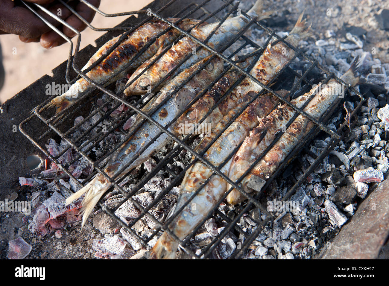 Grilling fish Morocco Stock Photo - Alamy