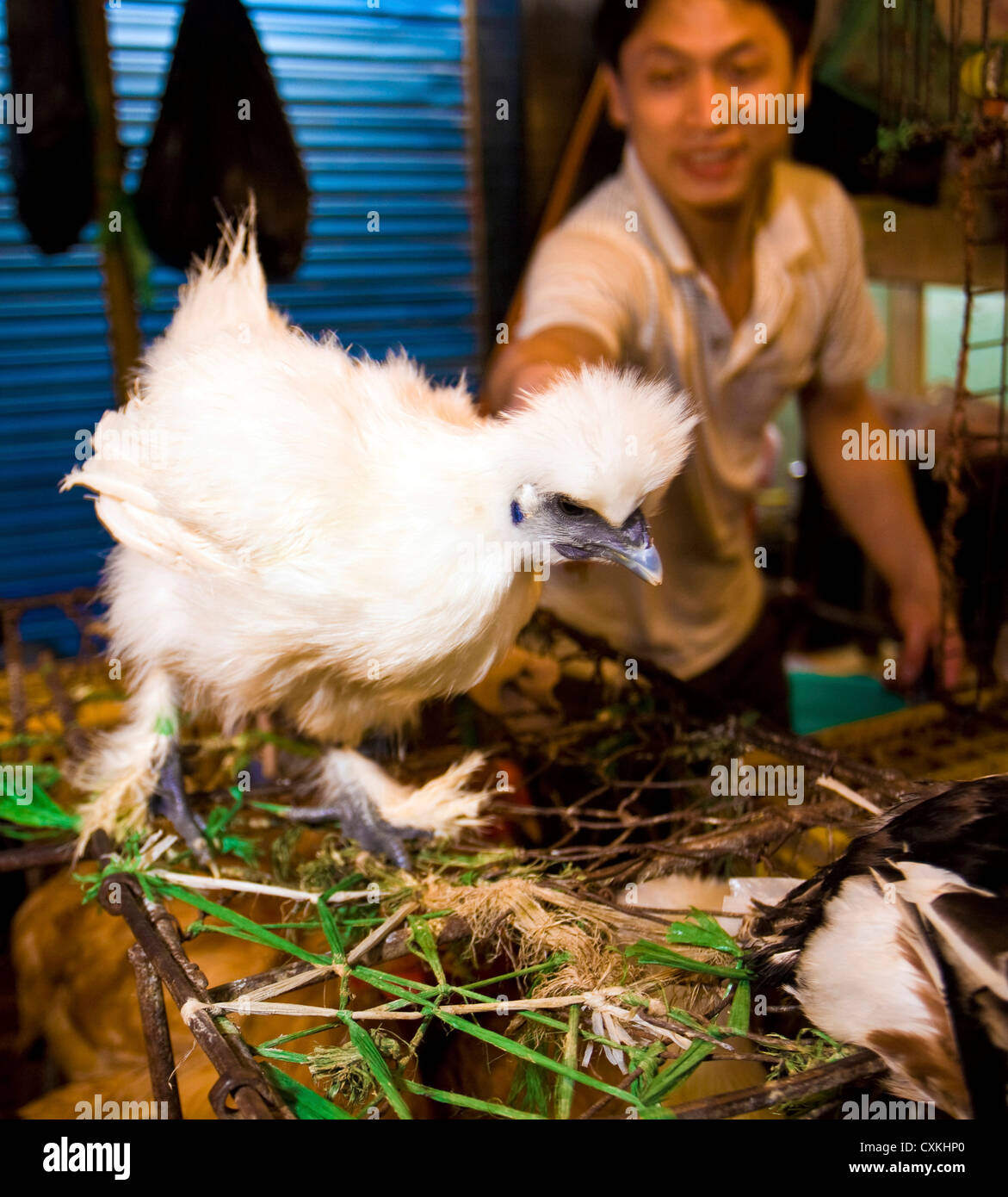Food vendor shows off his Chinese feathery chicken on at the Daijing Lu ...