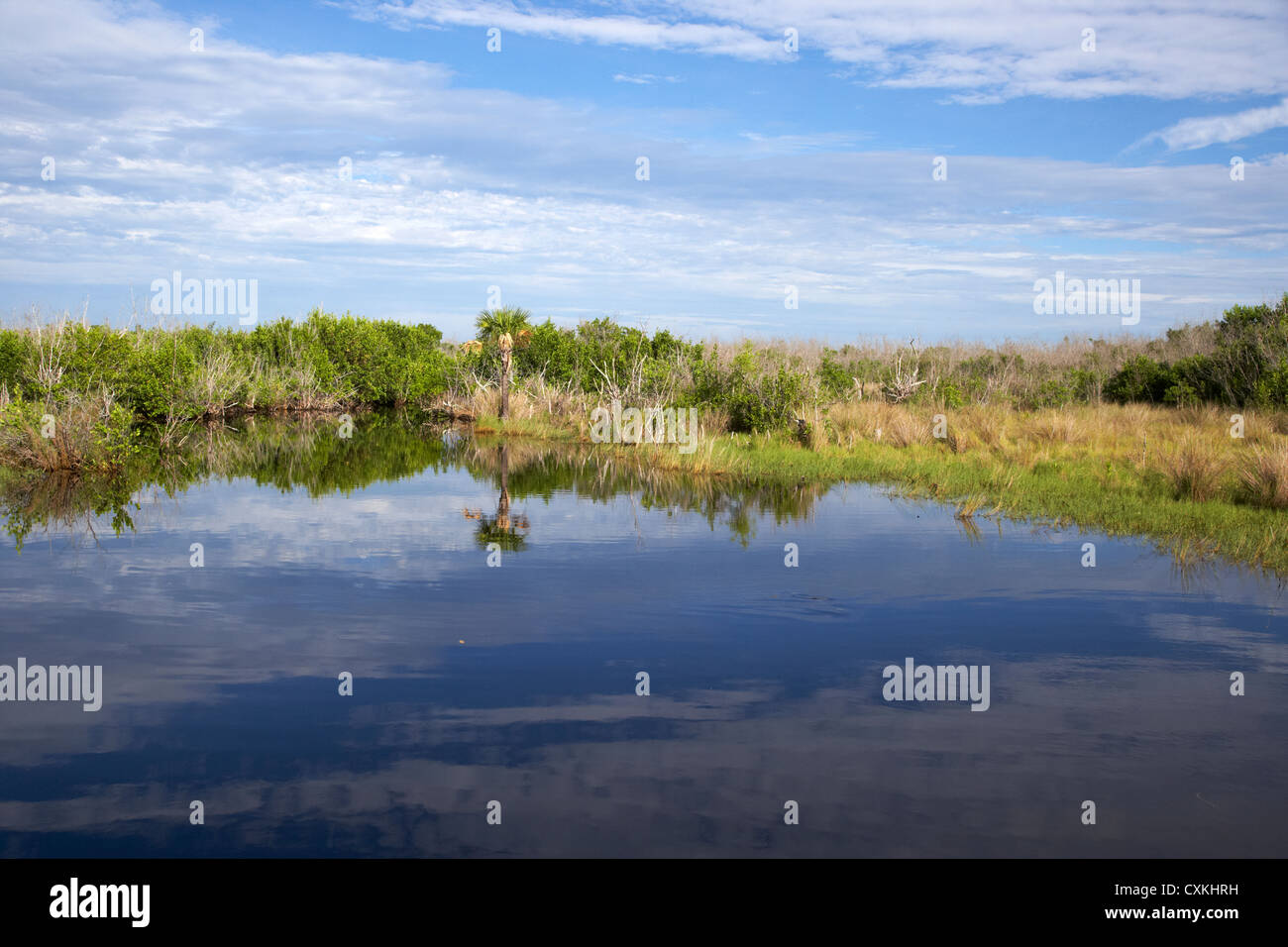 flooded grasslands in the florida everglades usa Stock Photo - Alamy