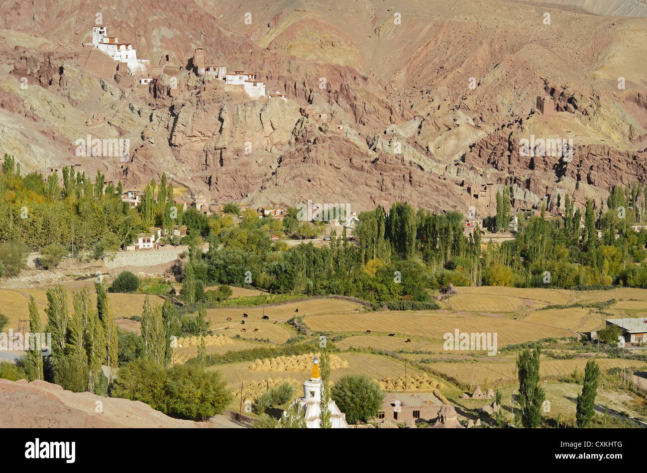 India, Ladakh, Basgo, Basgo Gompa (Monastery Stock Photo - Alamy