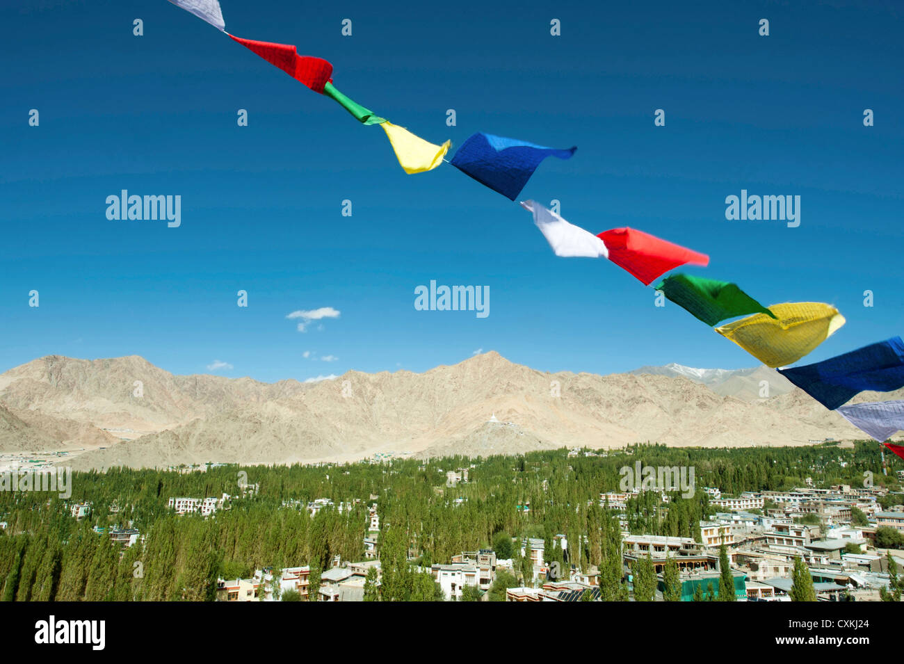 India, Ladakh, Leh, prayer flags with Indus Valley in the background ...