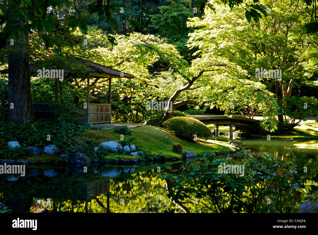 Japanese bridge over pond hi-res stock photography and images - Alamy